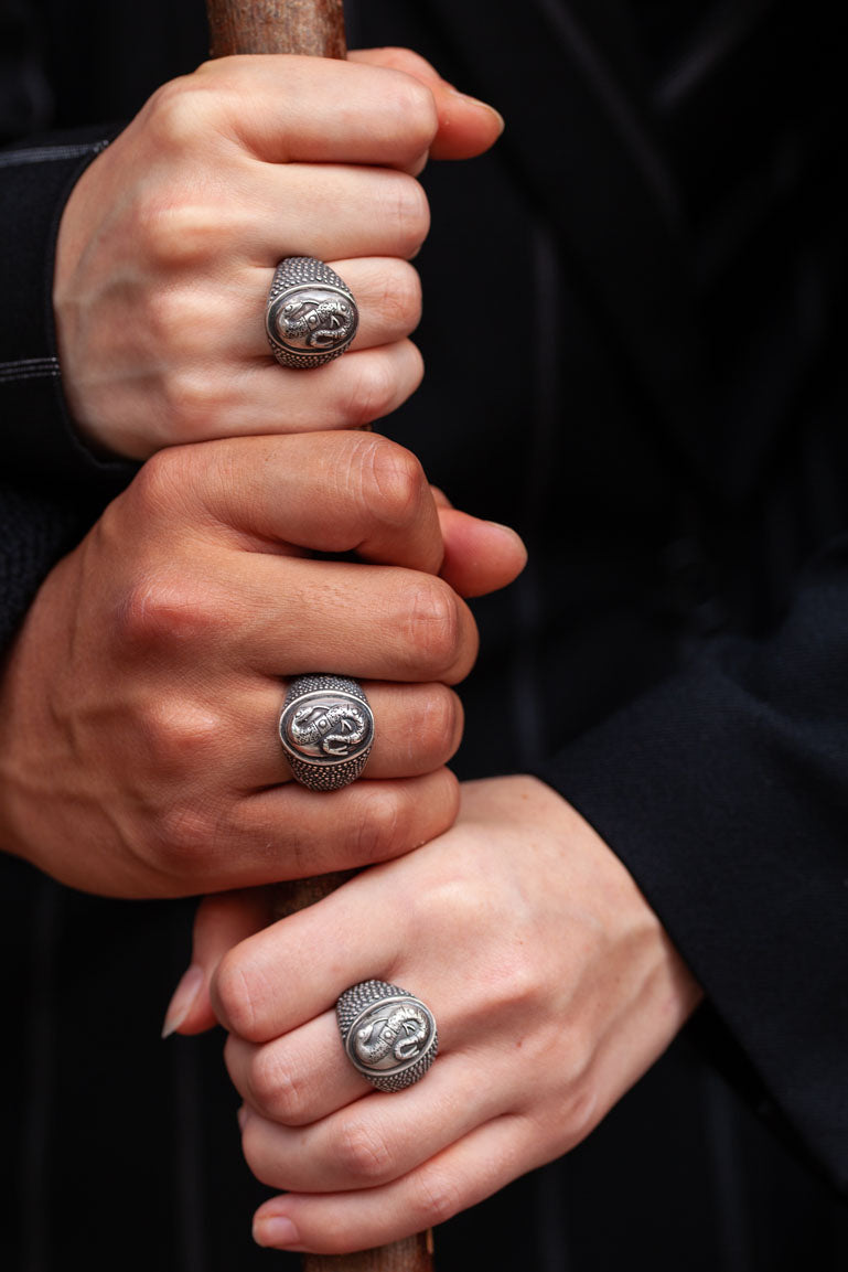 Serpent Signet Ring – Catherine Hills Jewellery